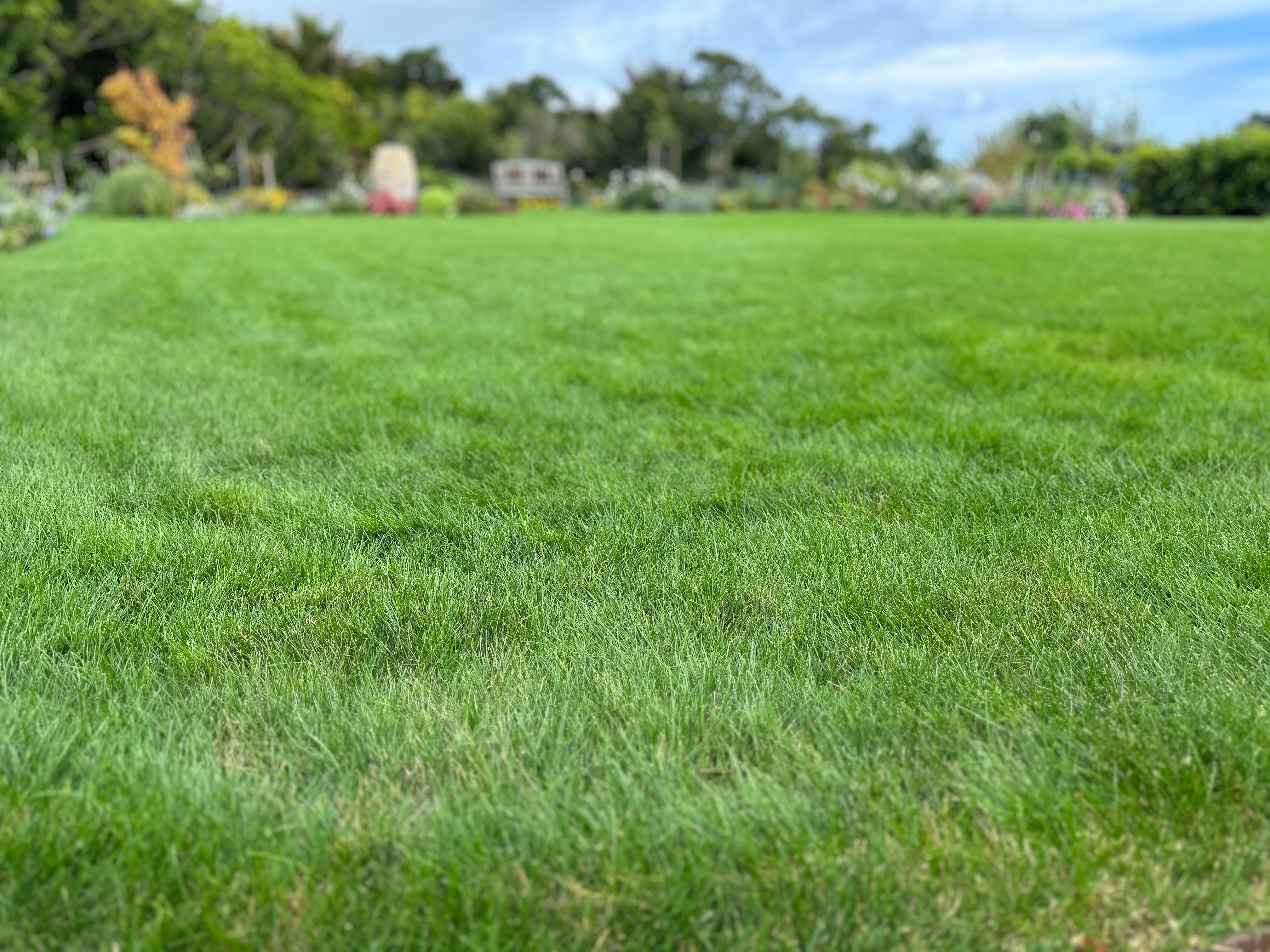 Lawn Seeds & Care Products | NZ's Top Lawn Experts | Fast Delivery ...